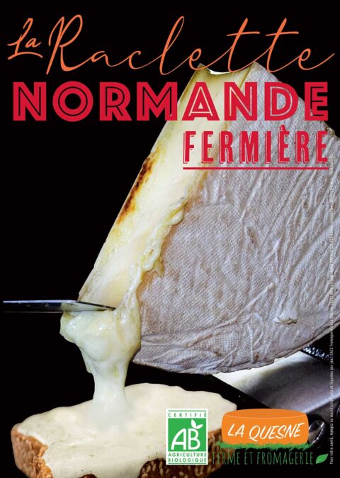 Raclette party réussie : Idées et astuces pour votre soirée raclette